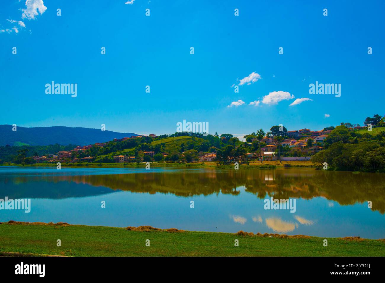 Lambari brazil hi-res stock photography and images - Alamy