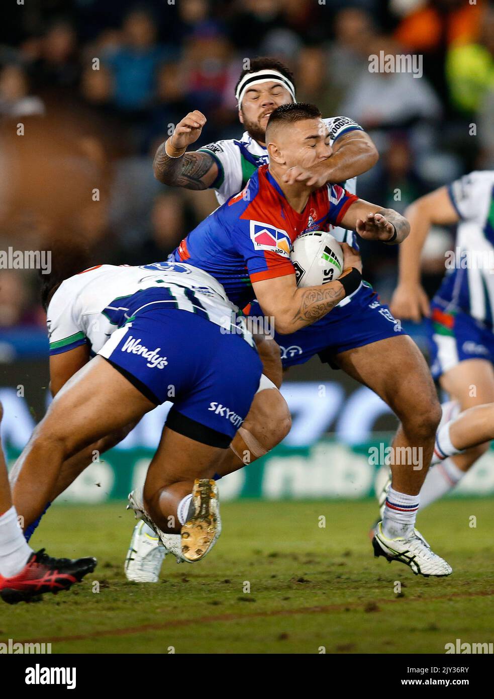 Daniel Levi of the Knights is tackled during the Round 16 NRL match ...