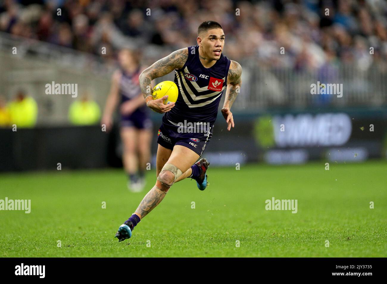 Michael Walters of the Dockers in action during the Round 16 AFL match ...