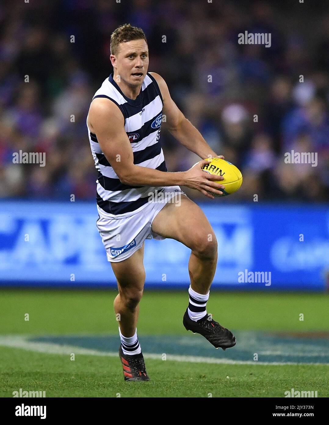 Mitch Duncan of the Cats is seen in action during the Round 16 AFL ...