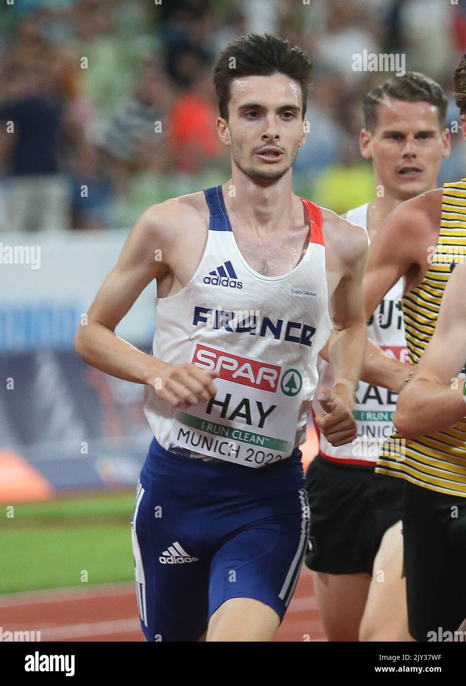 Hugo hay hi-res stock photography and images - Alamy