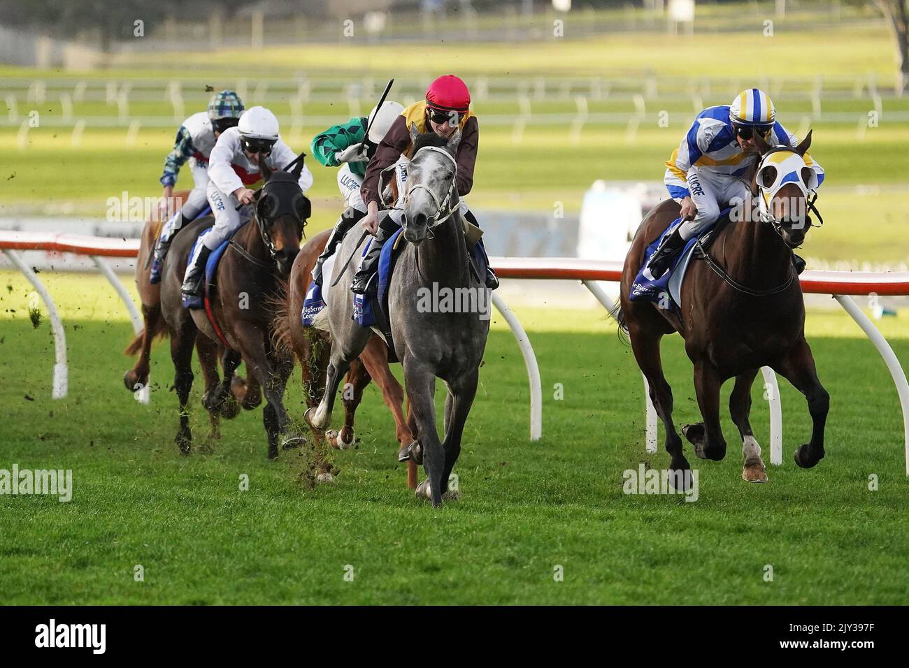 Jockey Teodore Nugent rides Mr Tipla to victory in race 8, The Big ...