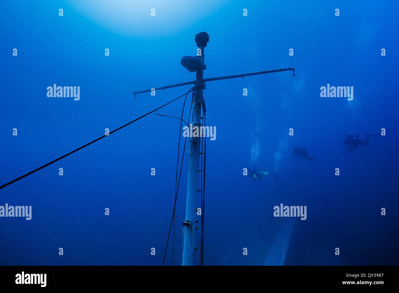 Wormseyeview of the mast of the new white wreck Hephaestus one week ...