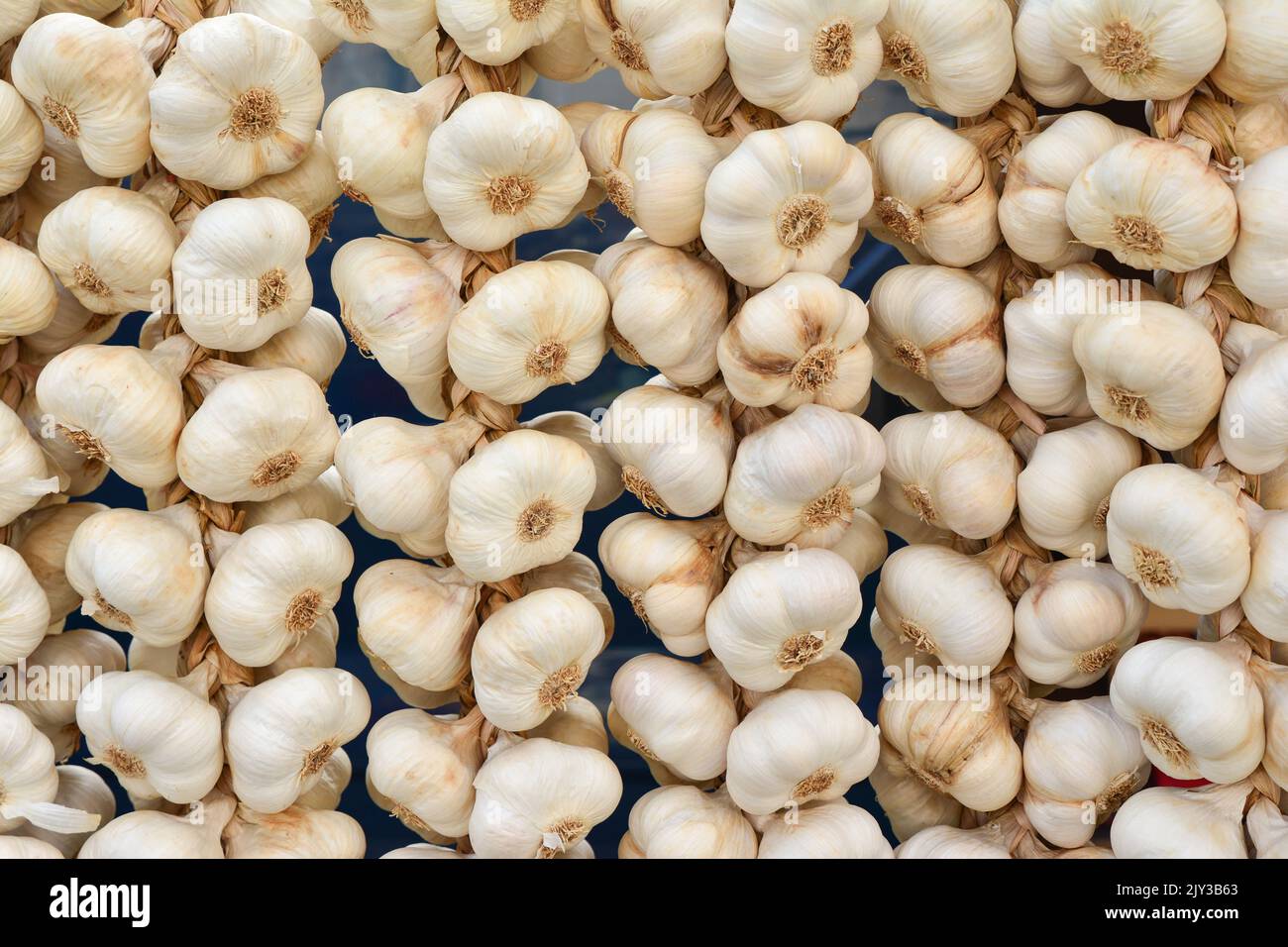 Dry garlic is hanging on the market Stock Photo - Alamy