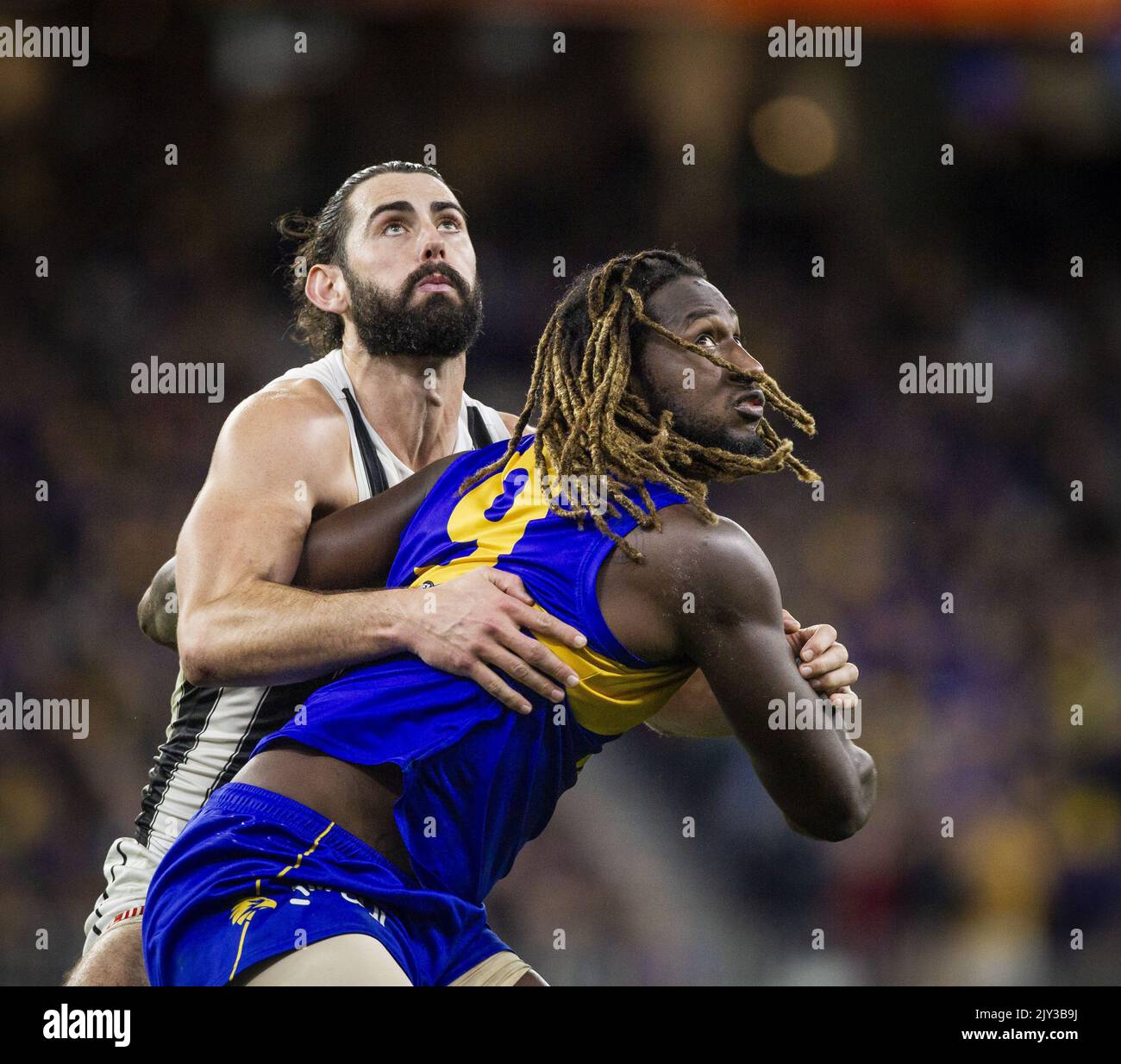 Brodie Grundy of Collingwood and Nic Naitanui of the Eagles during the ...