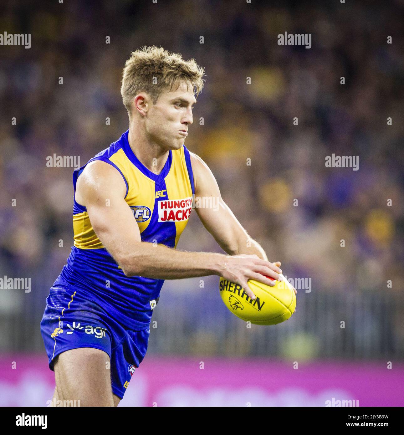 Brad Sheppard of the Eagles during the Round 17 AFL match between the ...