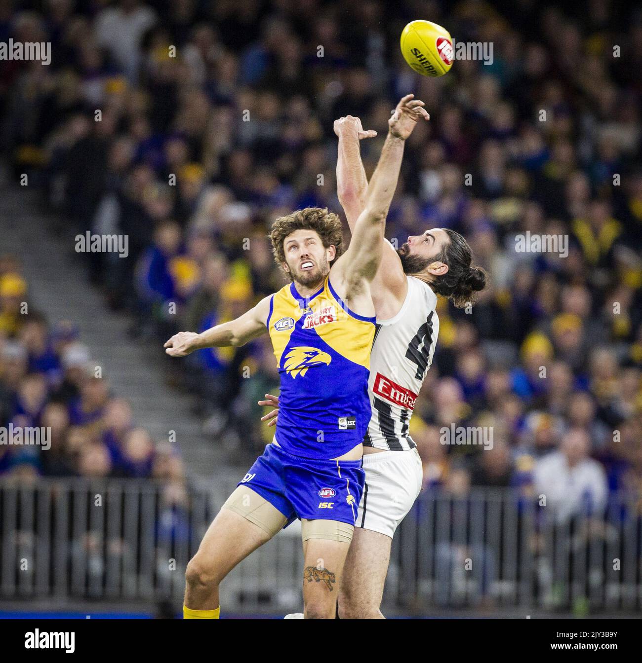 Tom Hickey of the Eagles and Brodie Grundy of Collingwood during the ...