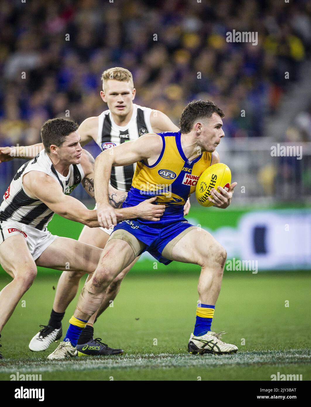 Luke Shuey of the Eagles during the Round 17 AFL match between the West ...