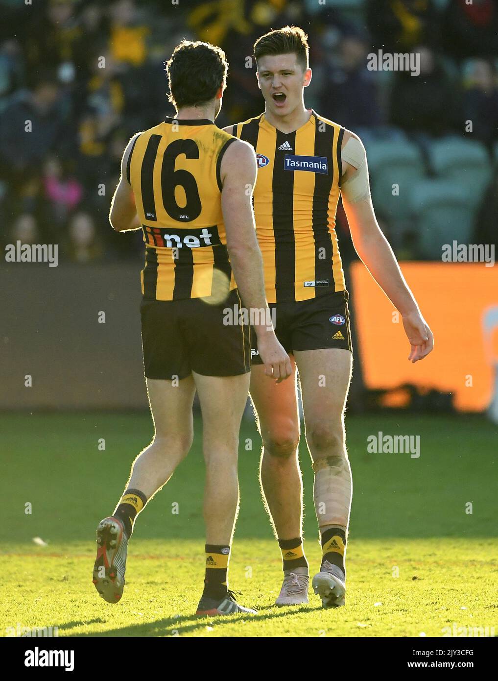 Mitchell Lewis of the Hawks (right) reacts after kicking a goal during ...