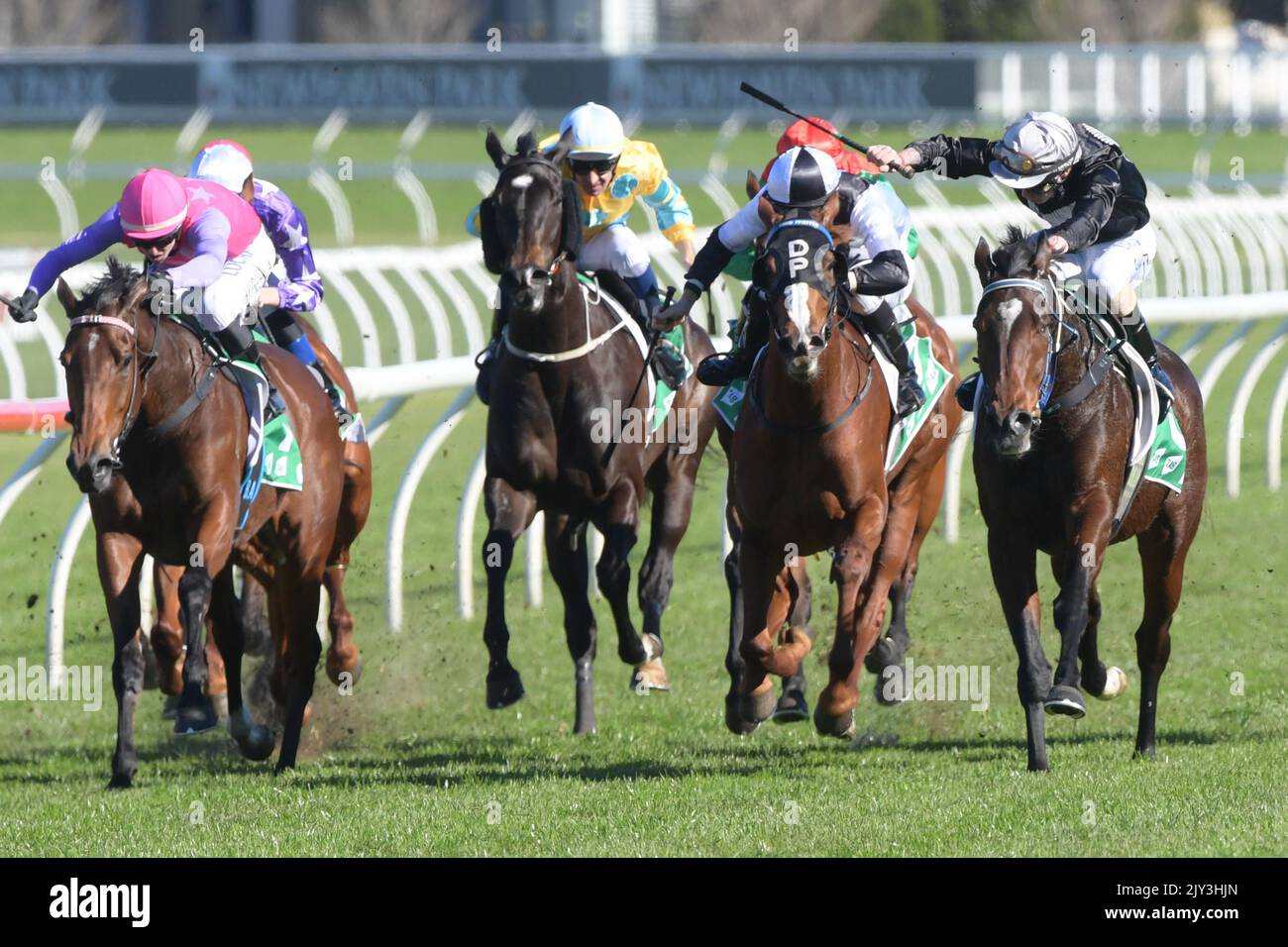 Jockey Robbie Dolan (black and white) rides Bangkok to victory in race ...