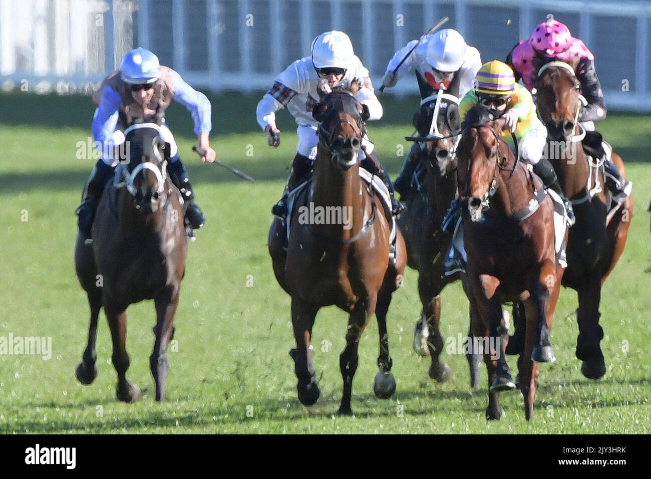 Jockey Theodore Nugent (lime green) rides Dr Drill to victory in race 6 ...