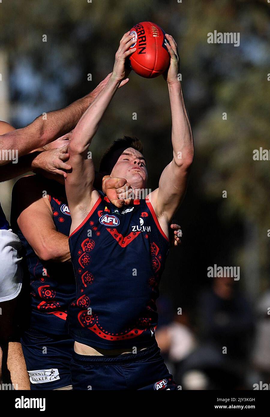 Bayley Fritsch of the Demons takes a mark during the Round 18 AFL match ...