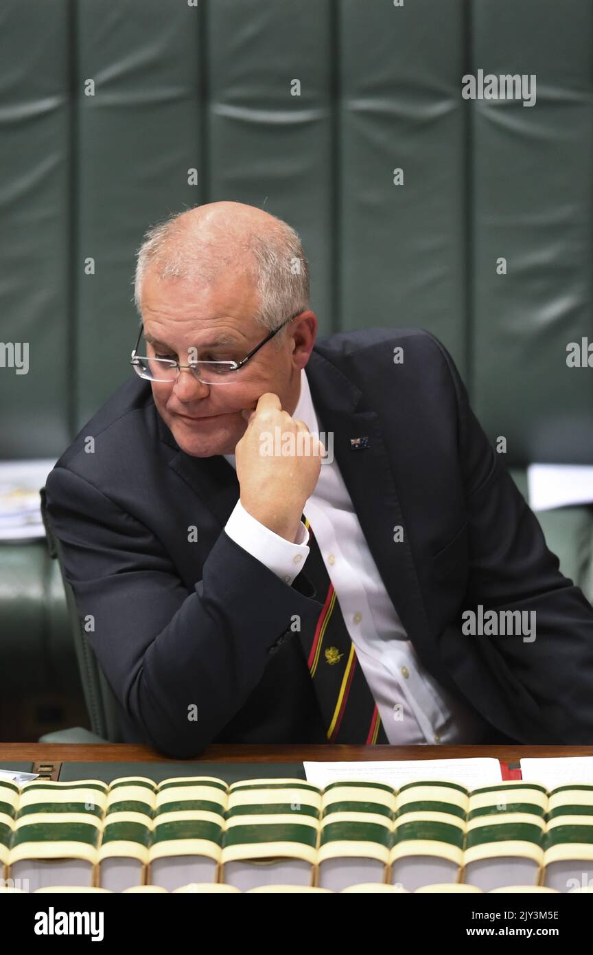Australian Prime Minister Scott Morrison reacts during House of ...