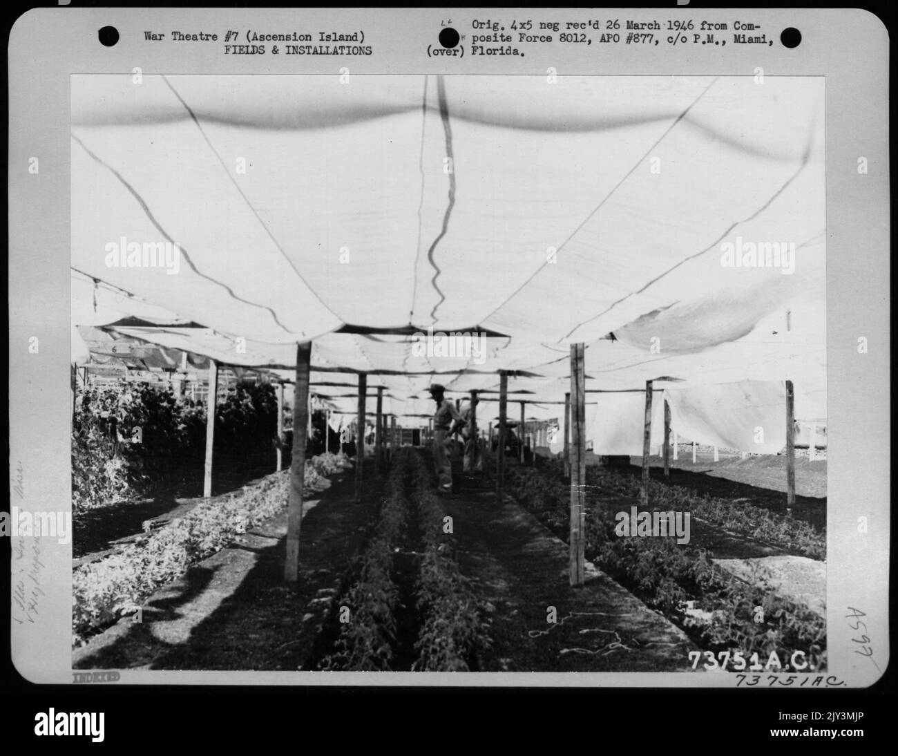 Gardening august Black and White Stock Photos & Images - Alamy