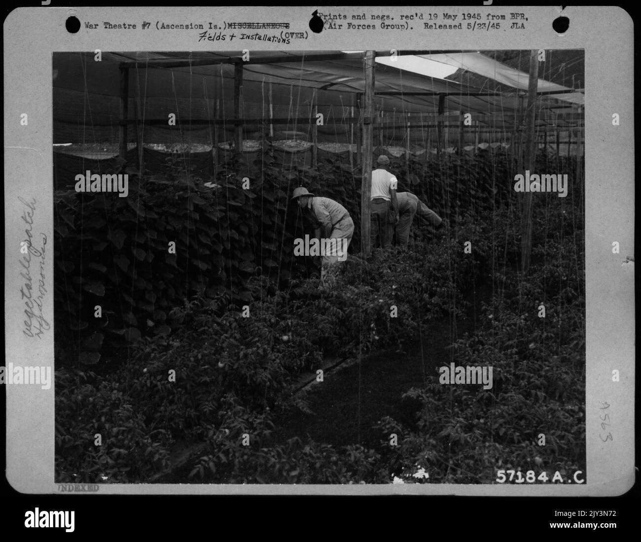Looking Down The Shaded Rows Of The Main Hydroponics Installation At ...