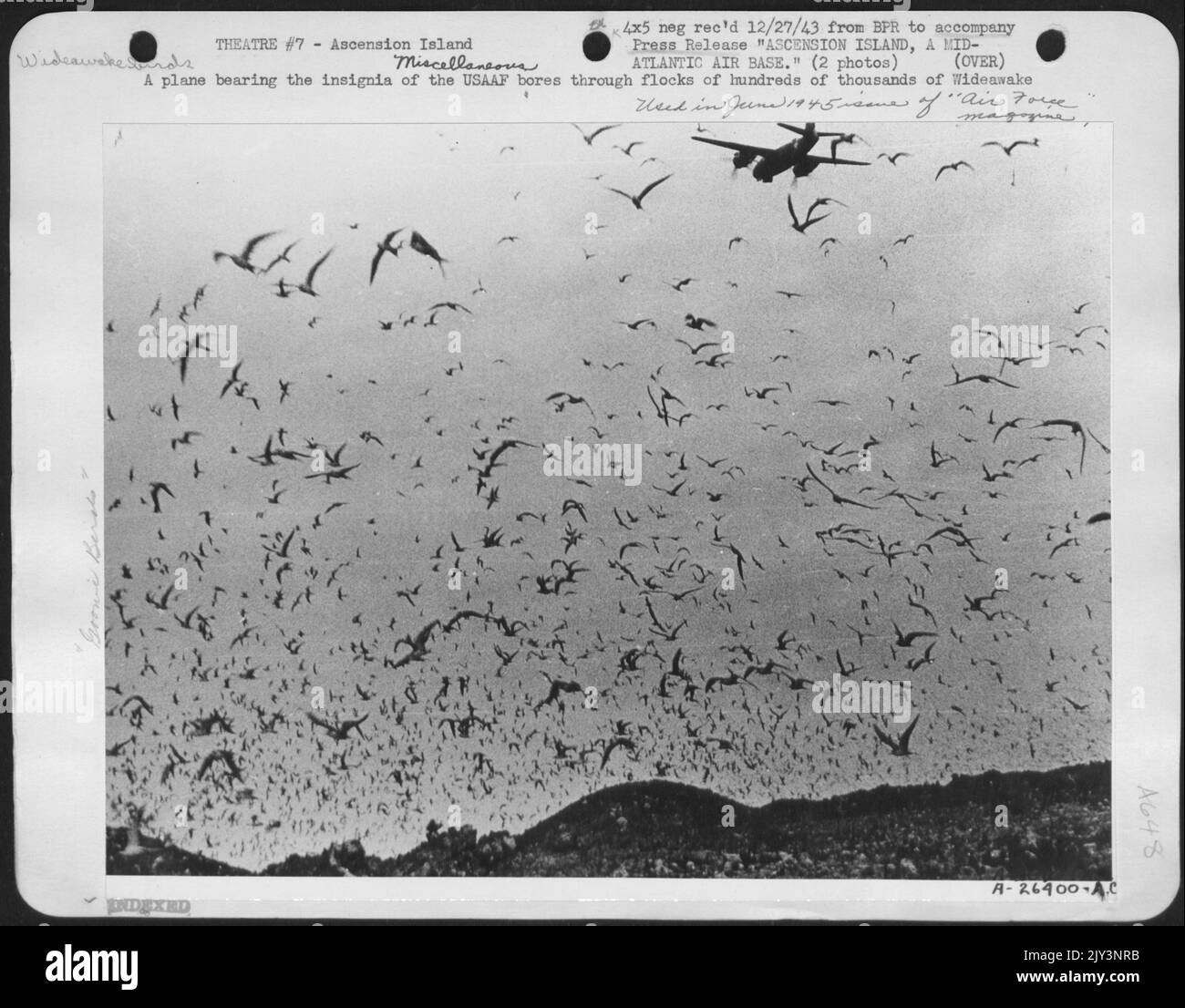 A plane bearing the insignia of the USAAF bores through flocks of ...