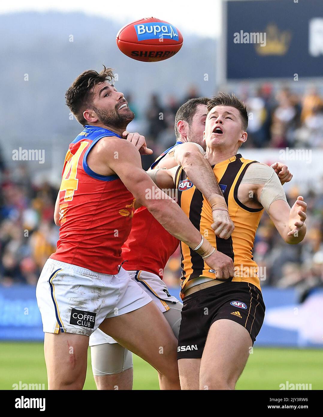 Marcus Adams of the Lions (left) and Mitchell Lewis of the Hawks ...