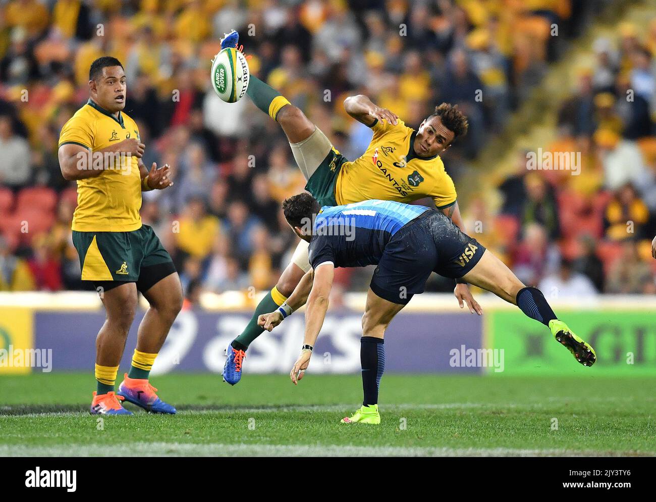 Will Genia of the Wallabies flies for the ball over Joaquin Tuculet of ...