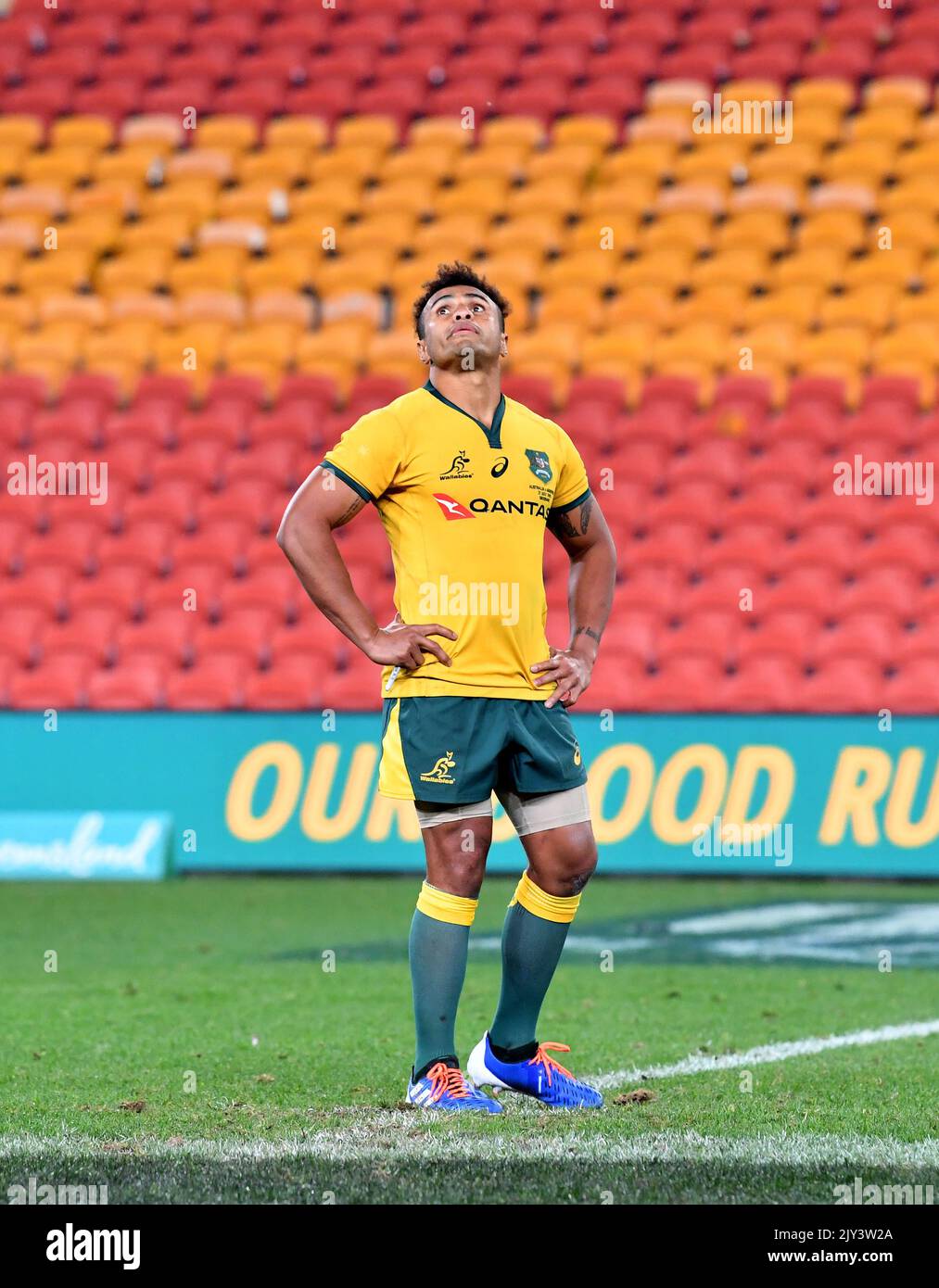 Will Genia of the Wallabies is seen by himself in the middle of Suncorp ...