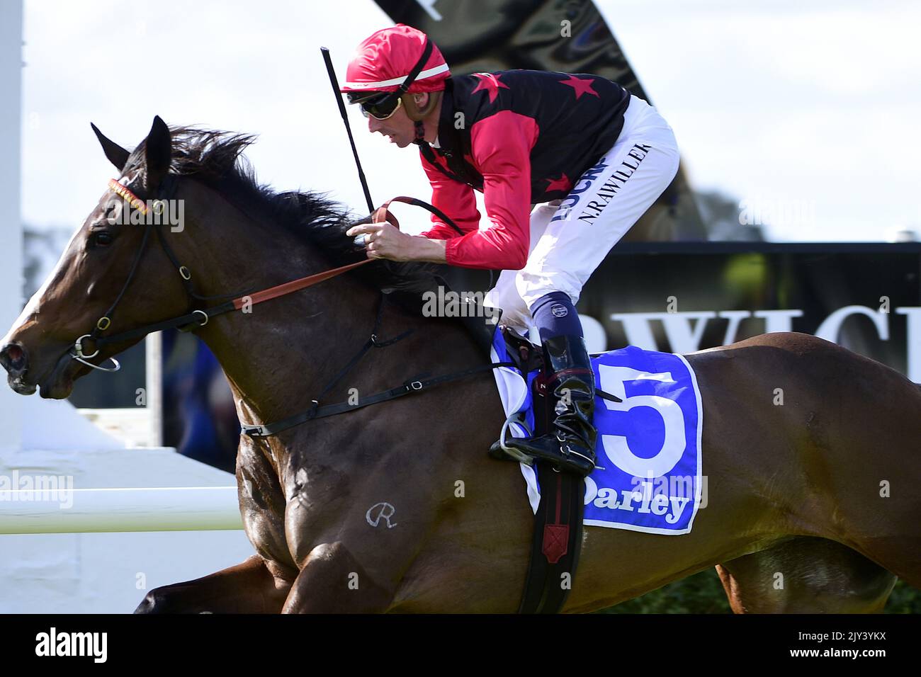 Jockey Nash Rawiller riding Making Whoopee wins race 2, the Harry Angel ...