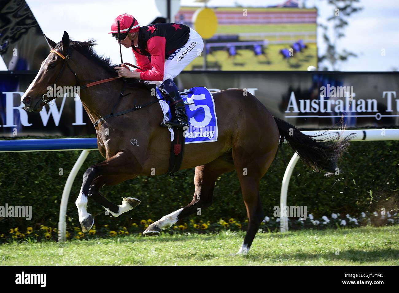 Jockey Nash Rawiller riding Making Whoopee wins race 2, the Harry Angel ...