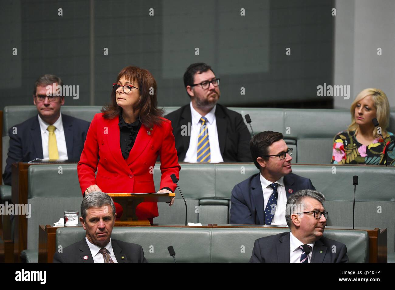 Nationals Member for Mallee Anne Webster delivers her first speech in ...