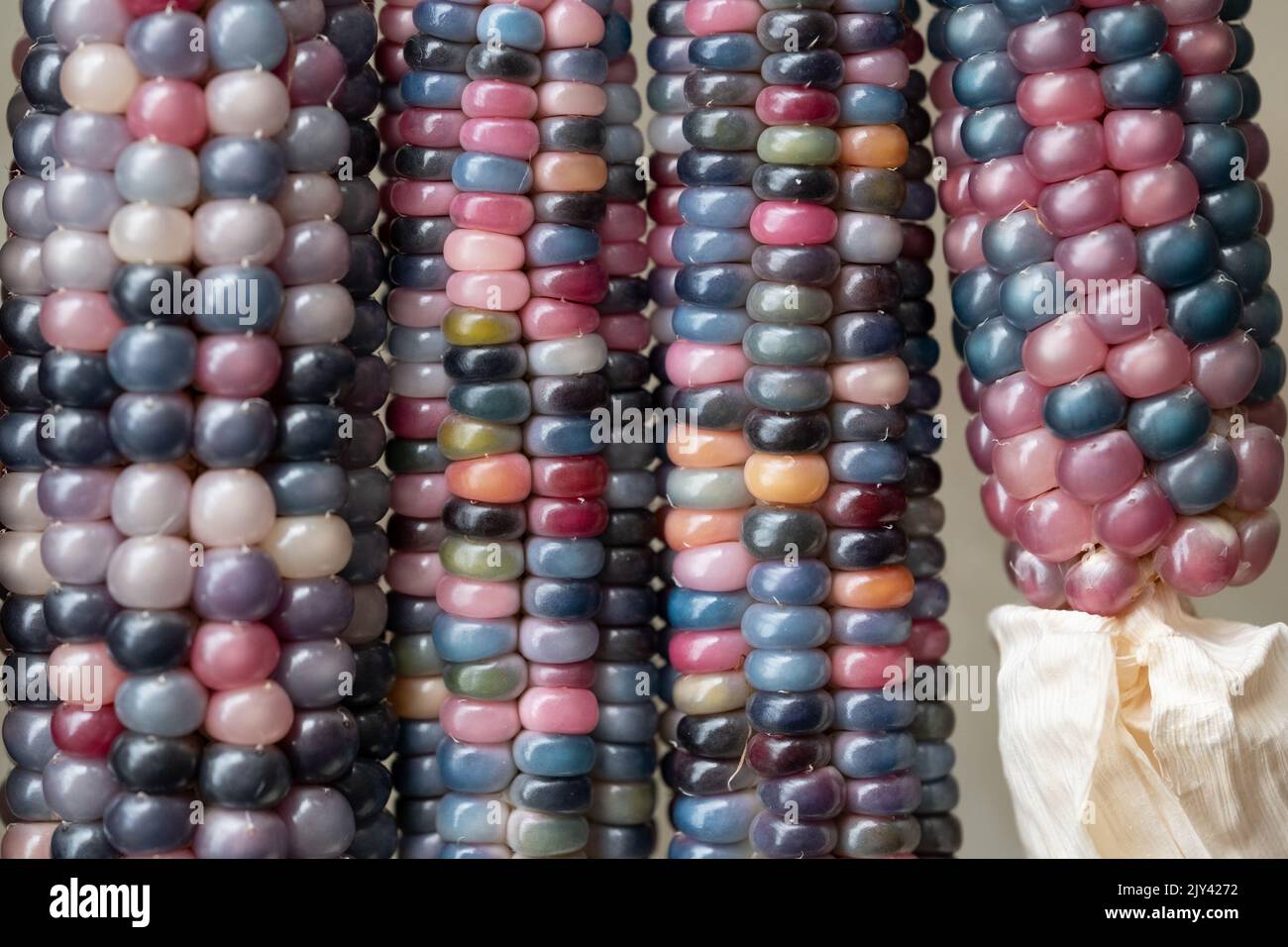 Pop corn fiesta hi-res stock photography and images - Alamy