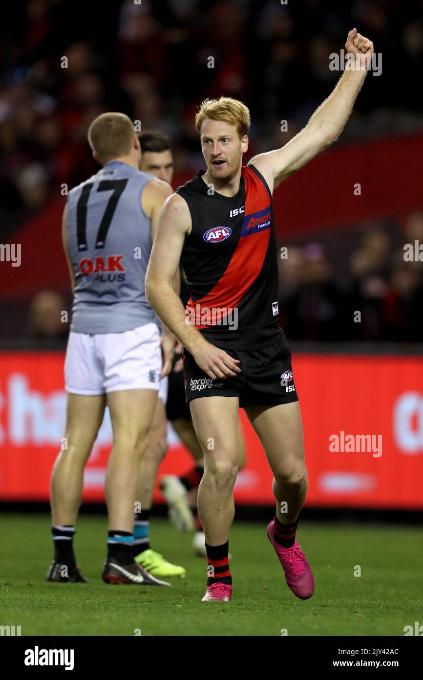 Aaron Francis of the Bombers celebrates a goal during the Round 20 AFL ...