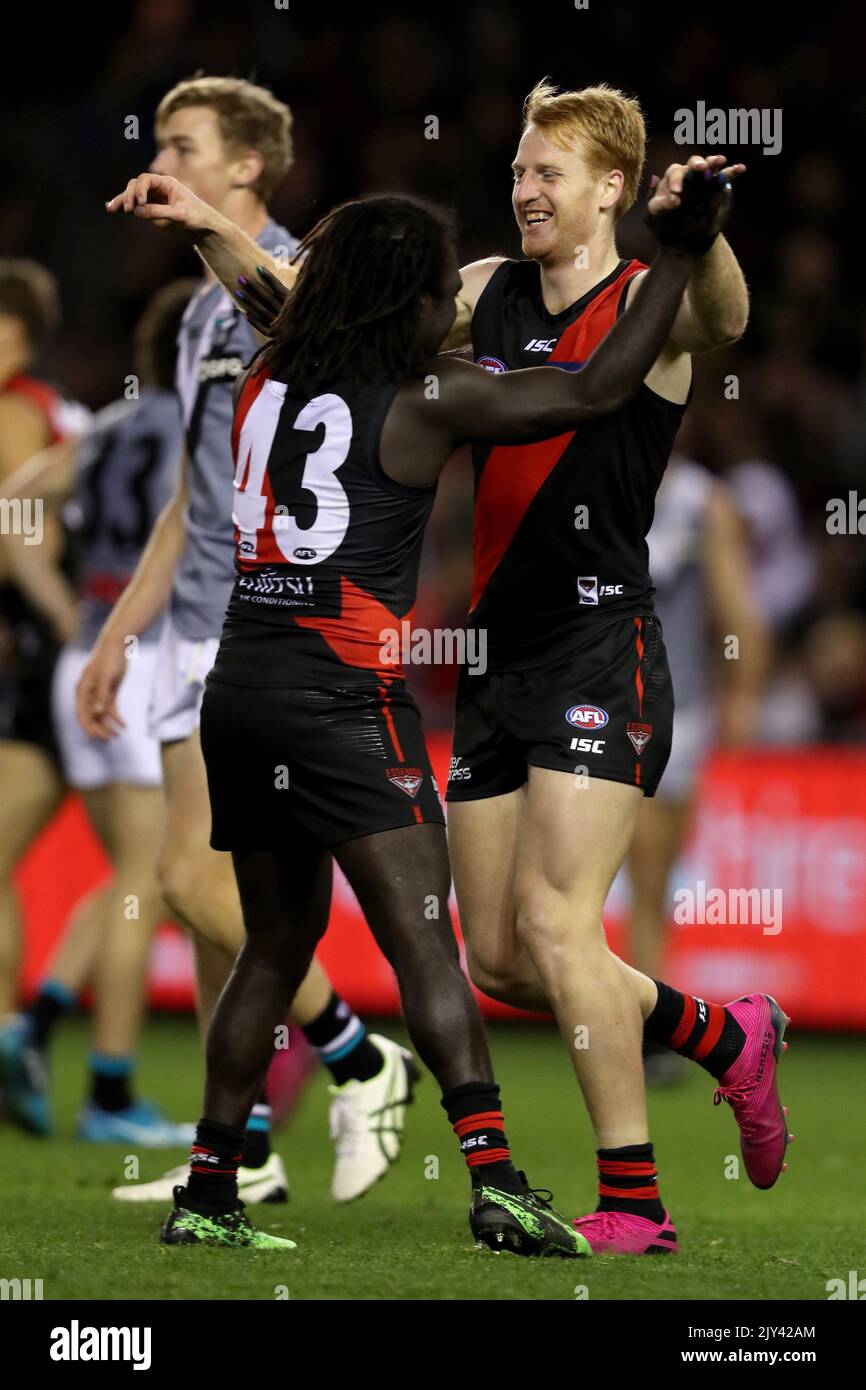 Aaron Francis of the Bombers celebrates a goal during the Round 20 AFL ...