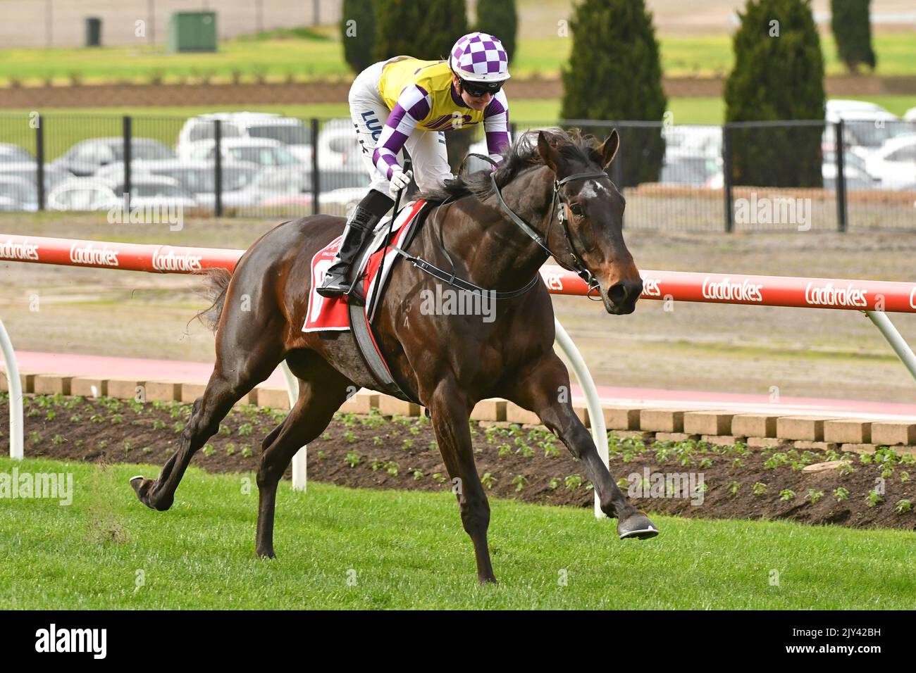 Jockey Jamie Kah rides More Than Ever to victory in race 6, the ...