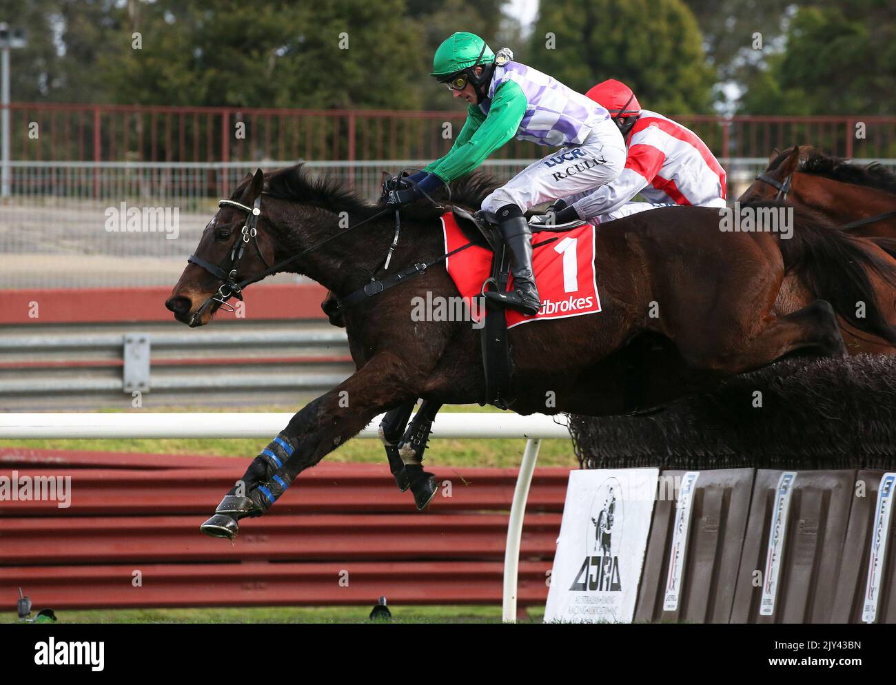 Jockey Richard Cully rides Wells (no 1) to victory in race 1, Crisp ...
