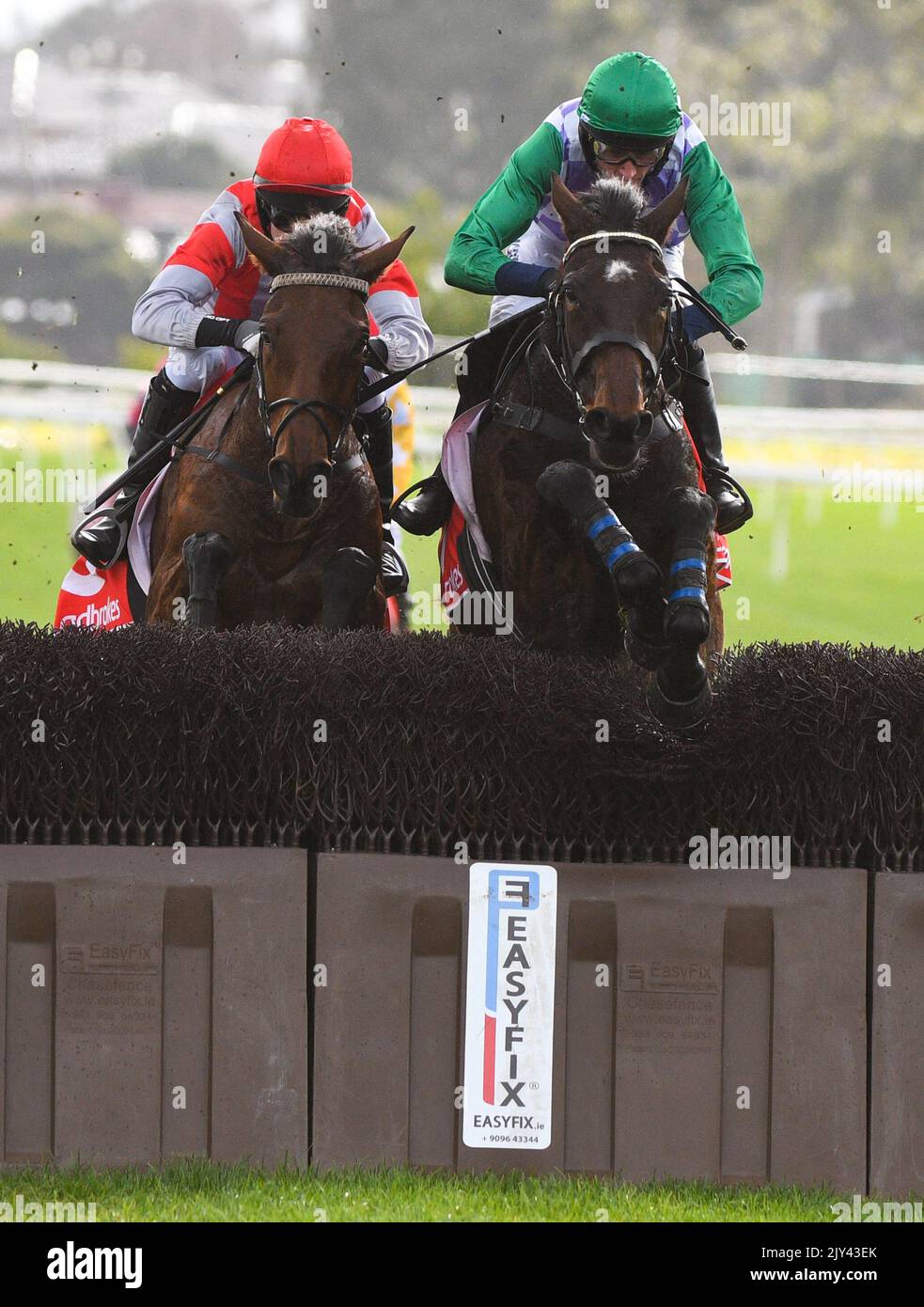Jockey Richard Cully riding Wells (right) fighting out the last jump ...