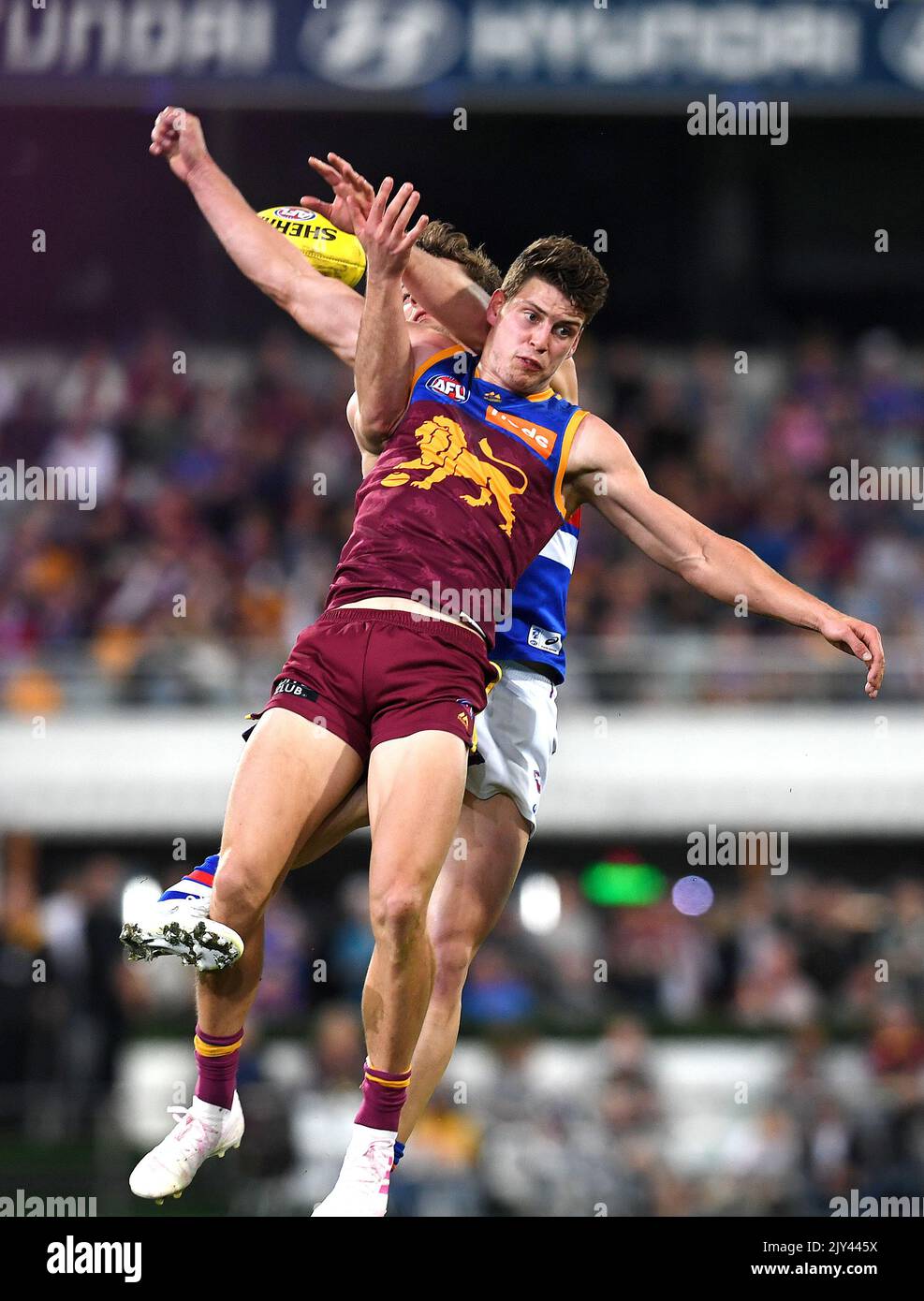 Jarryd Lyons of the Lions is seen during the Round 20 AFL match between ...