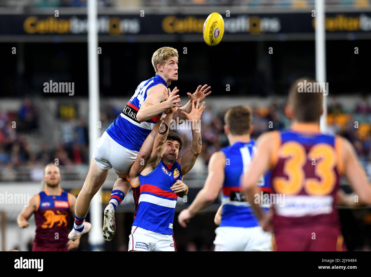 Tim English of the Bulldogs eyes the ball during the Round 20 AFL match ...