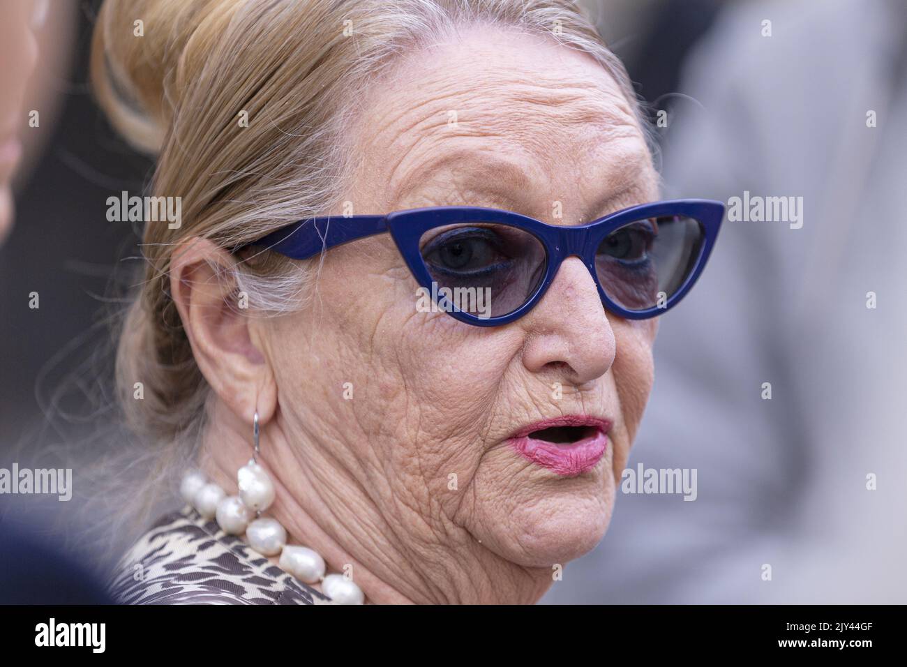 Voluntary Assisted Dying Board representative Betty King speaks to ...