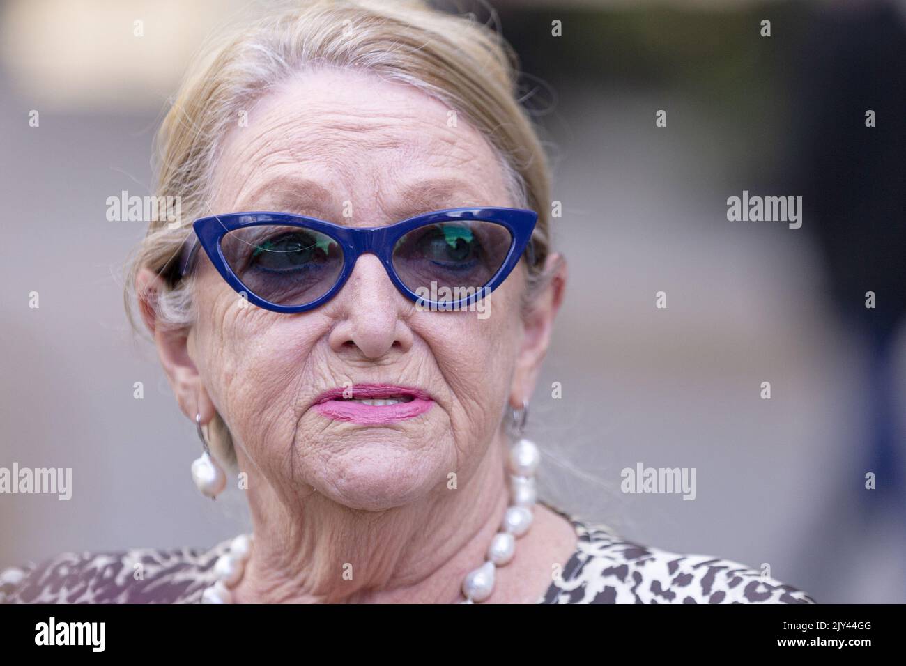 Voluntary Assisted Dying Board representative Betty King speaks to ...