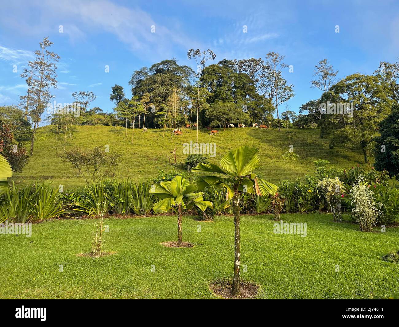 Amazing landscapes of Costa Rica Views of Costa Rica Stock Photo - Alamy