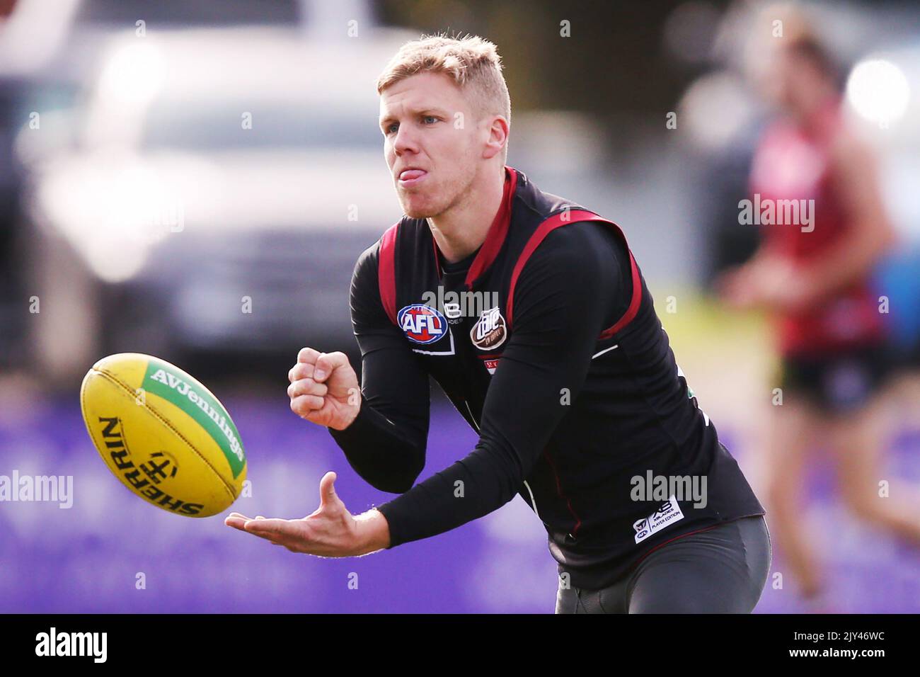 Dan Hannebery of the Saints handballs during a St Kilda Saints training ...