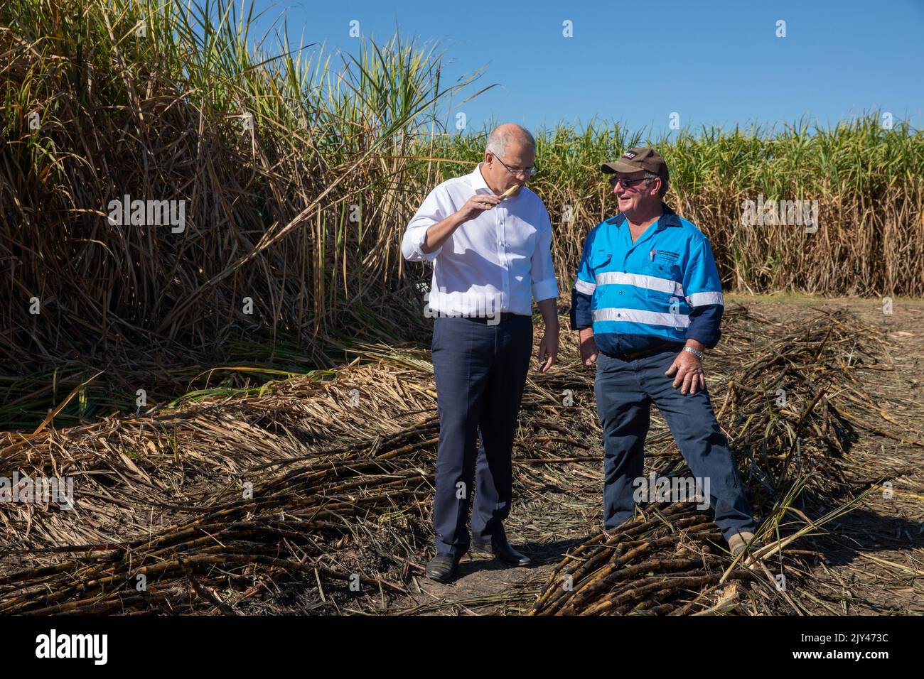 Prime Minister Scott Morrison meets with harvesting contractor Gary Stockham on a Burdekin sugar ...