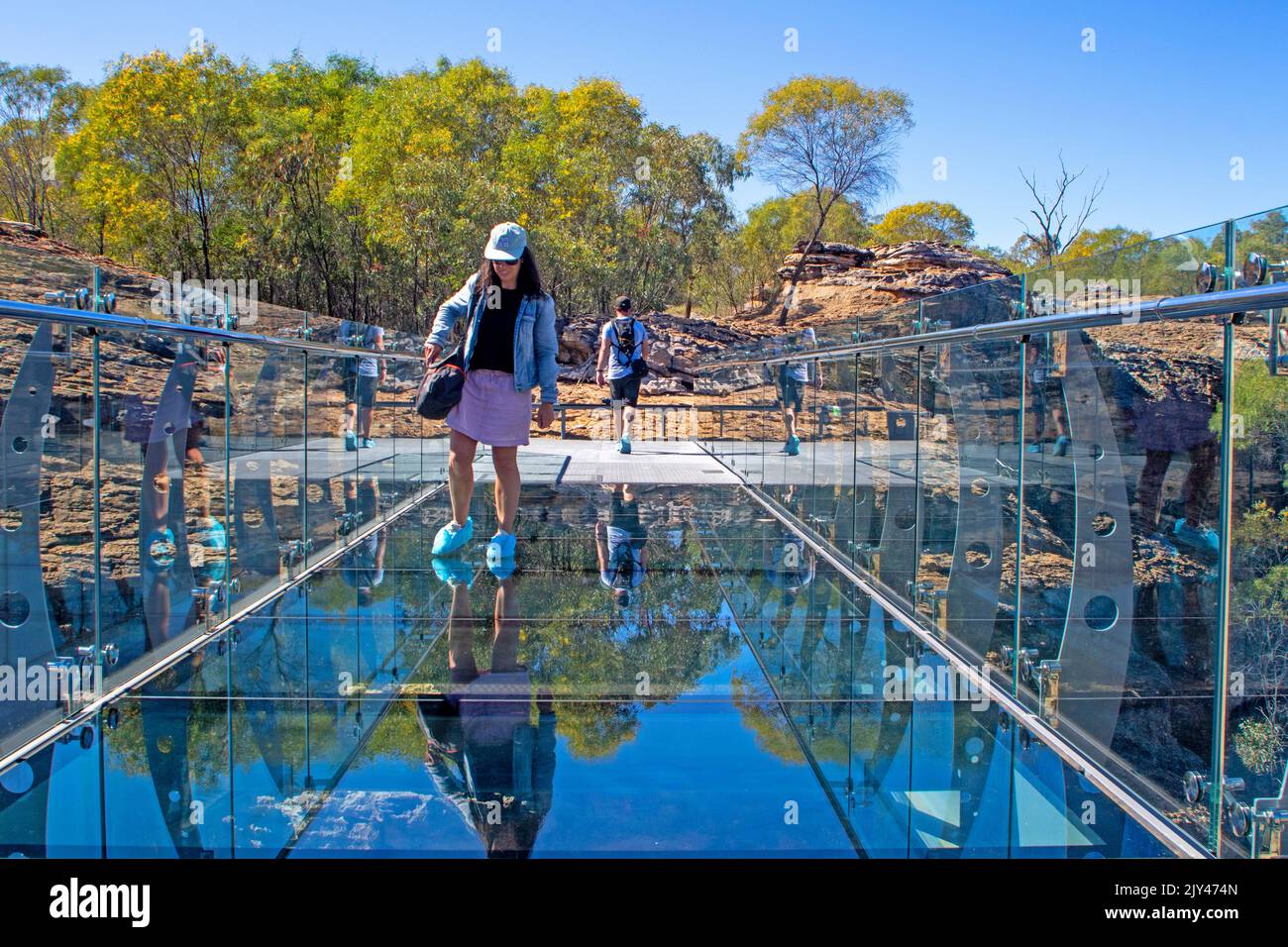 Crossing the glass bridge at Cobbold Gorge Stock Photo - Alamy