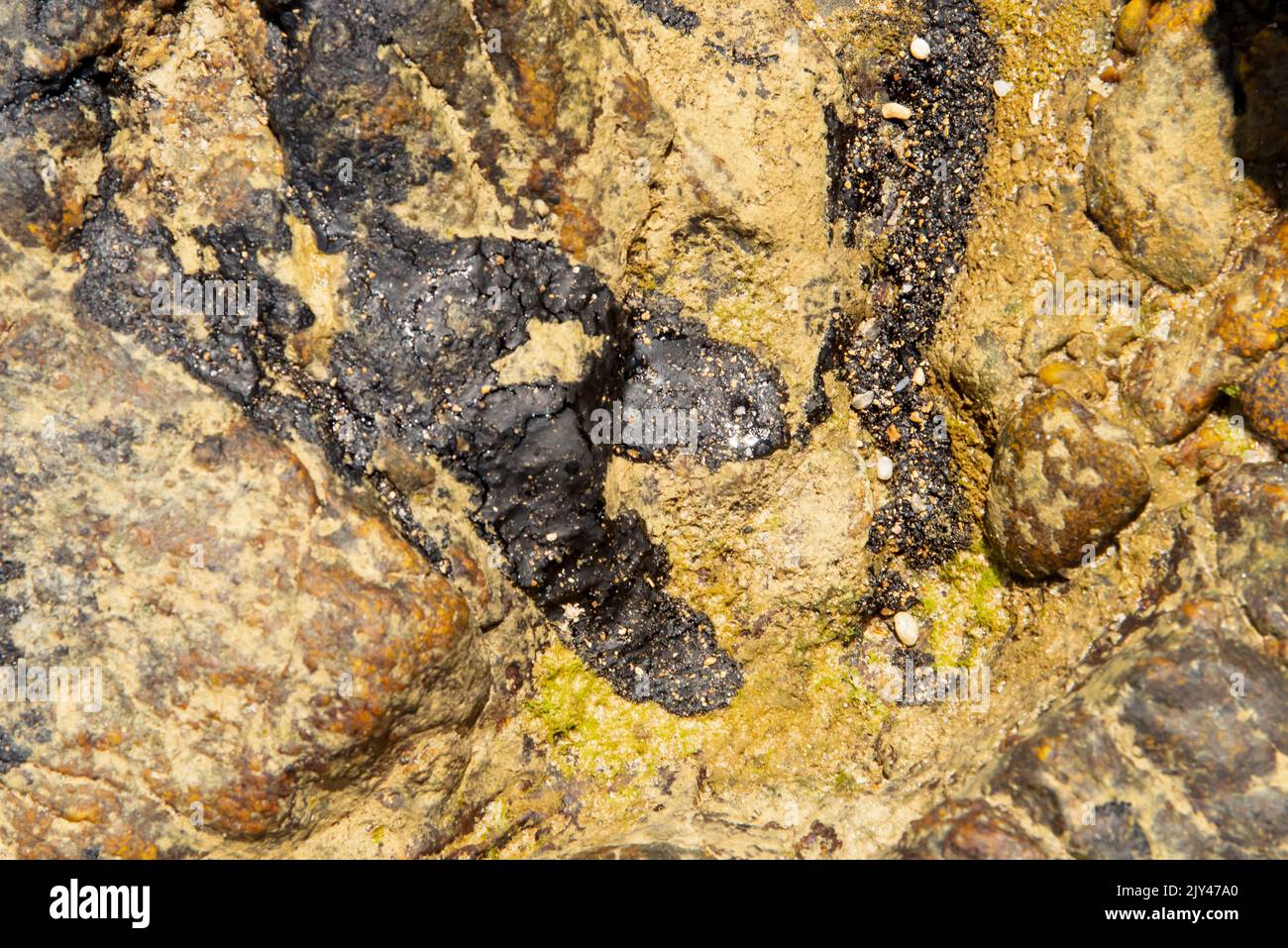 The sea beach and the rocks are polluted with oil. A crude oil spill in ...