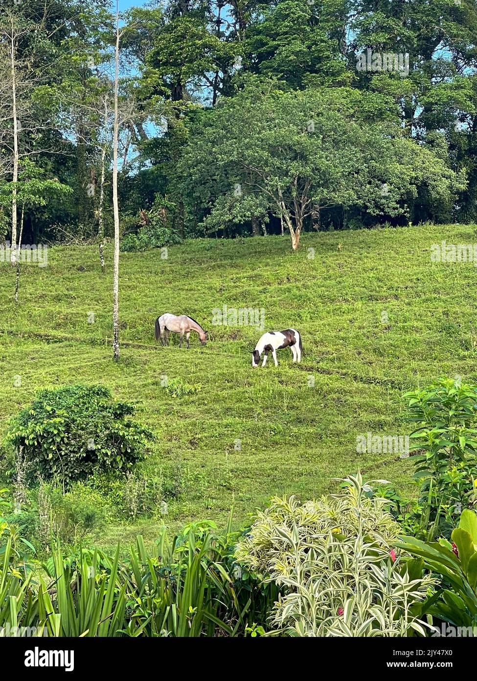 Amazing landscapes of Costa Rica Views of Costa Rica Stock Photo - Alamy