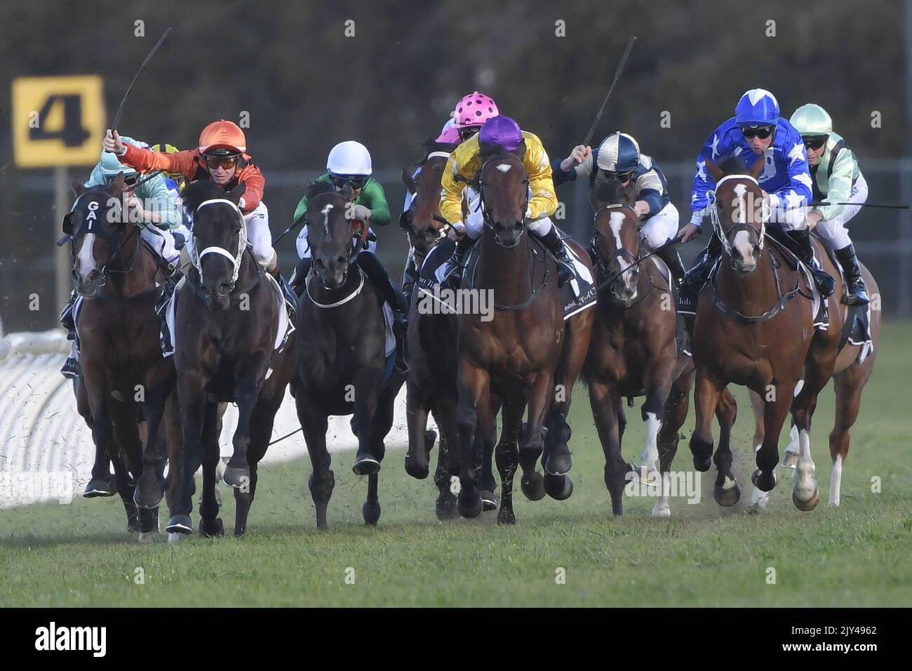 Jockey Blaike McDougall rides Hogmanay to victory in race 7, the ...