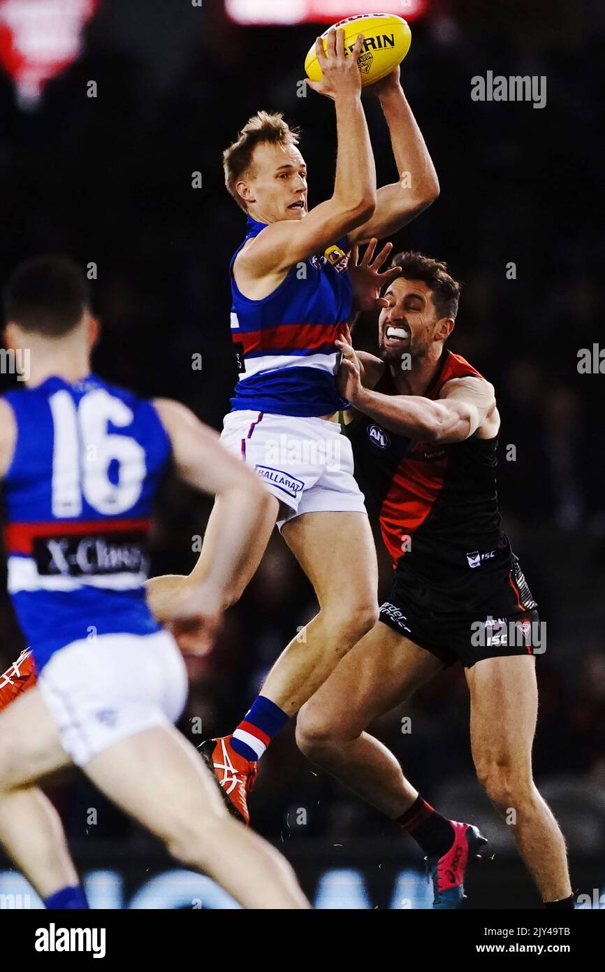 Will Hayes of the Bulldogs marks the ball during the Round 21 AFL match ...