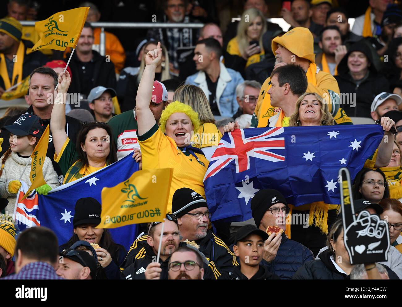 Wallabies fans cheer during the Bledisloe Cup match between the ...