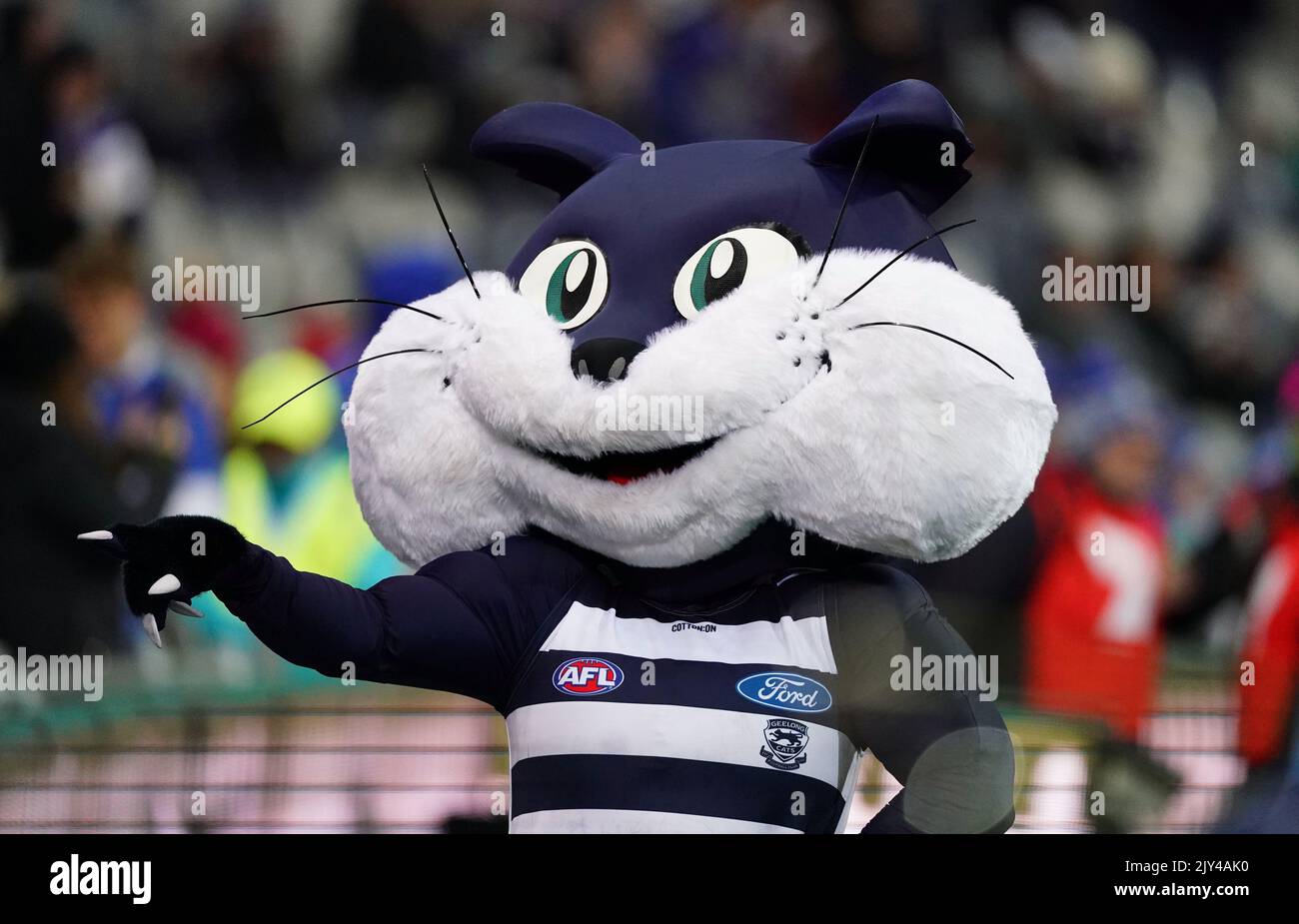 The Geelong Cats mascot looks on during the Round 21 AFL match between ...
