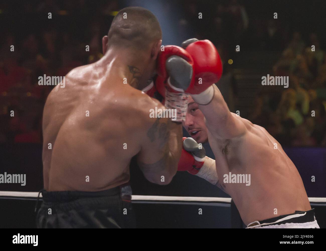 Renold Quinlan and Cesar Mateo Tapia during their fight for the ...