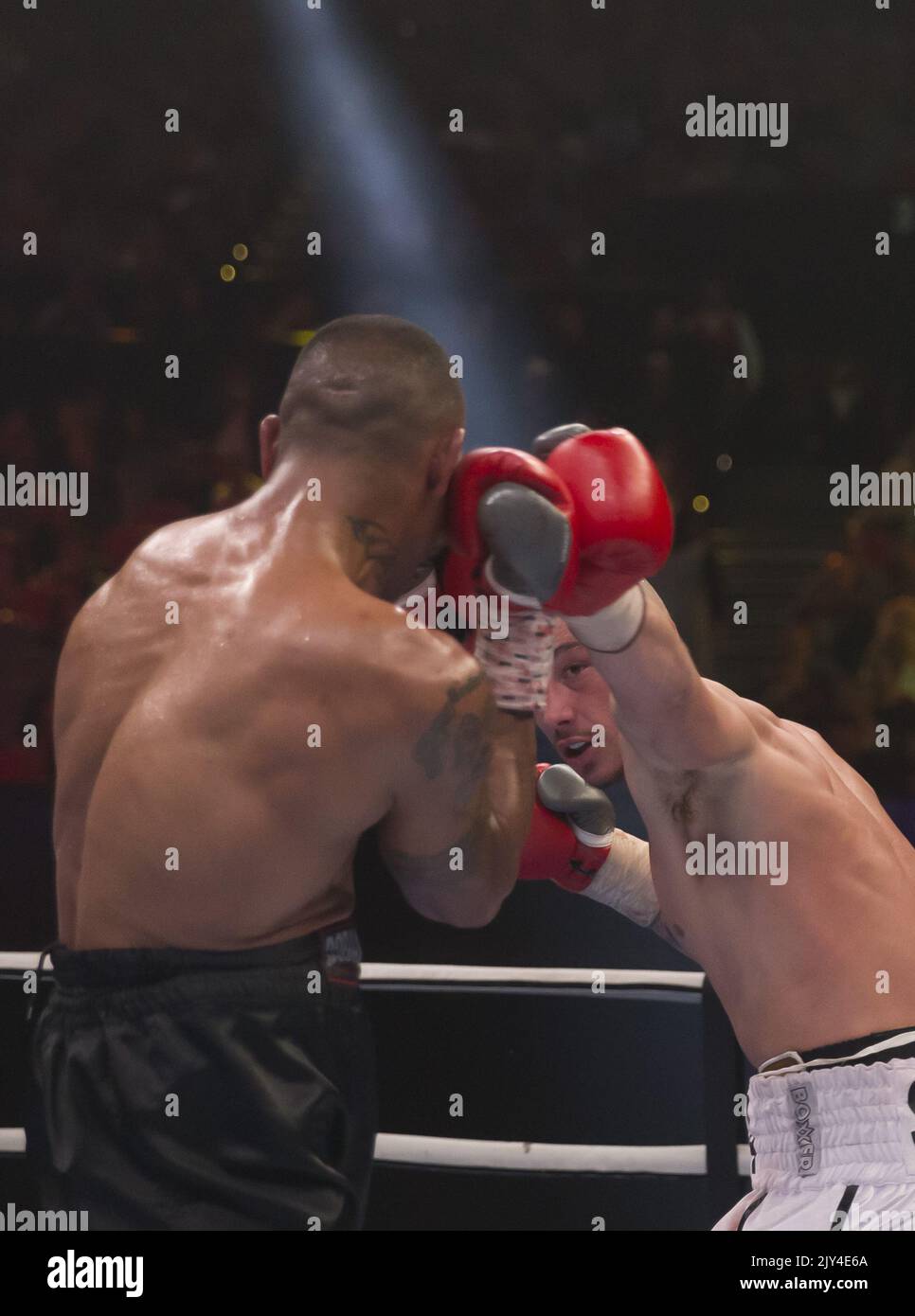 Renold Quinlan and Cesar Mateo Tapia during their fight for the ...