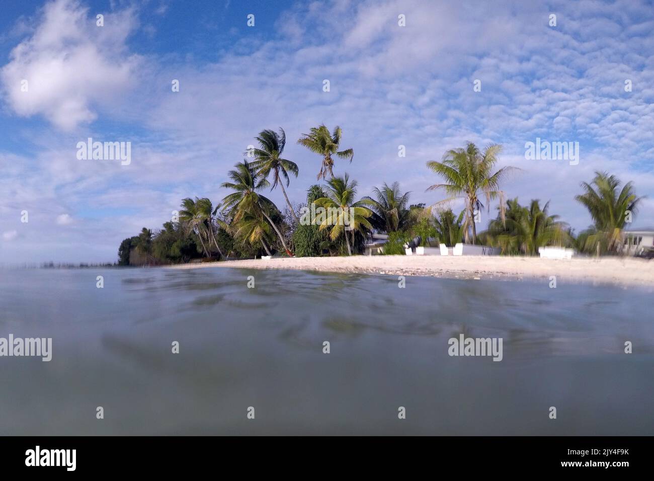 Palm trees and sand are see from the lagoon back to the shore in ...