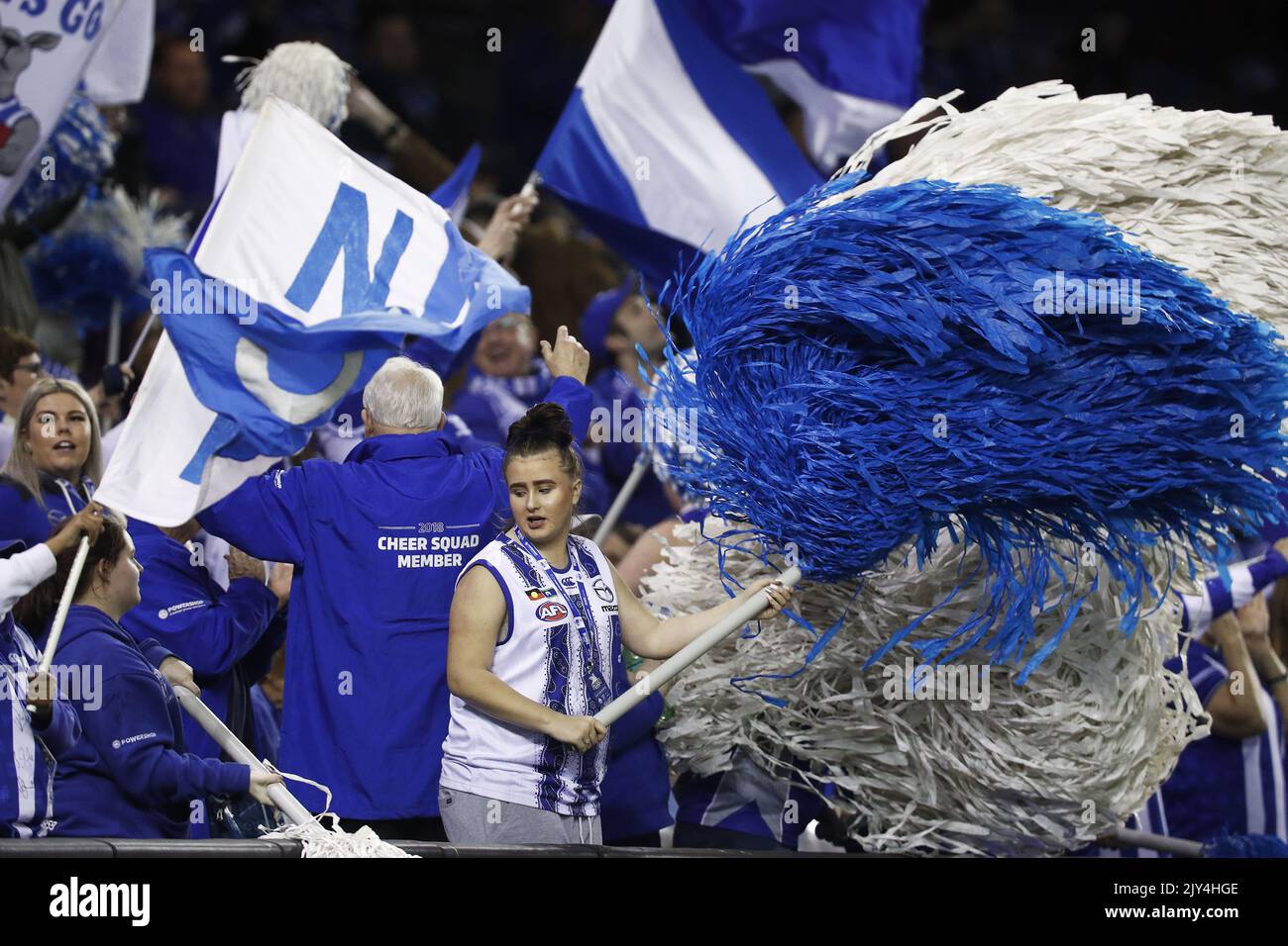 Kangaroos fans cheer during the Round 22 AFL match between the North ...
